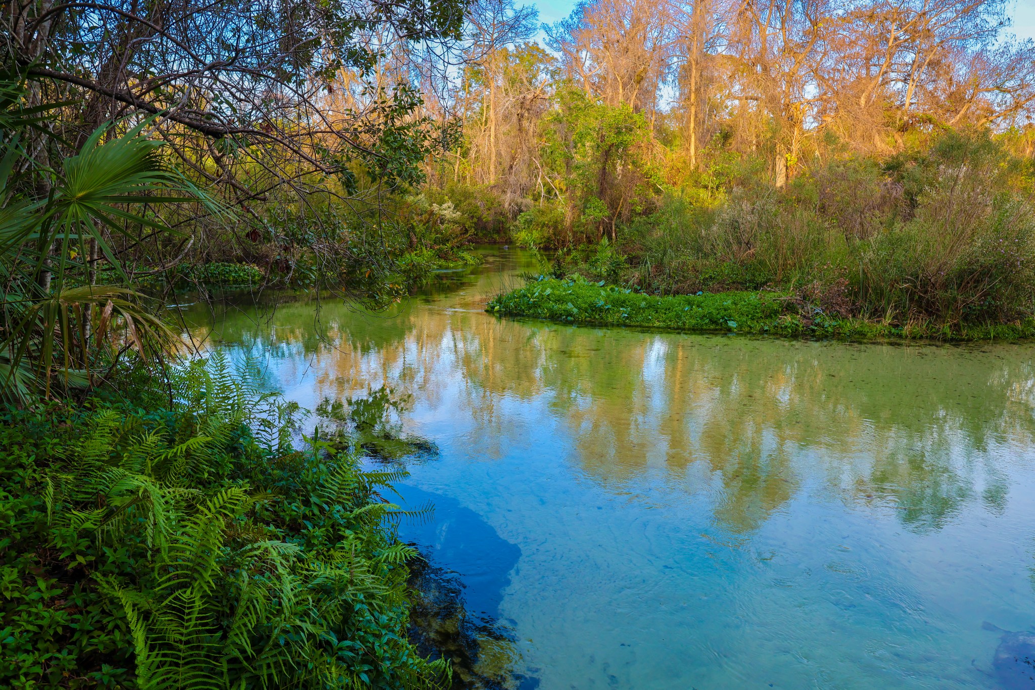 Exploring Sorrento, FL: Must-Visit Spots and Hidden Gems – The Touring ...